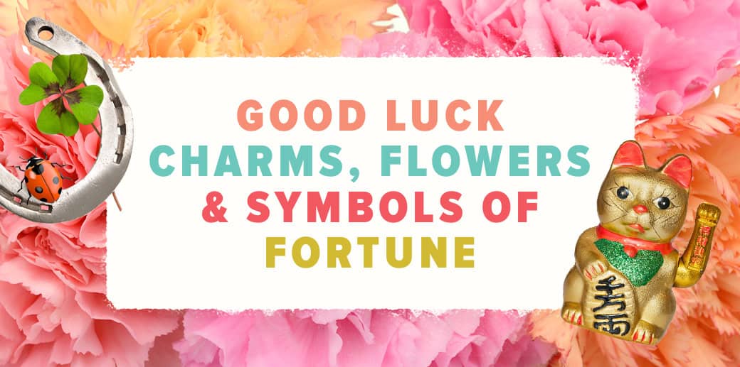 Petals of Prosperity: Lucky Flowers & Plants that Bring Good Fortune ...
